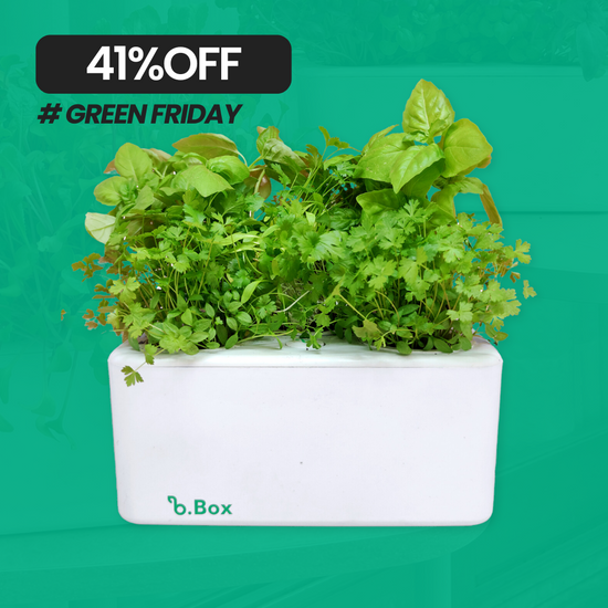 Brota Company - Brota Box Horta Inteligente