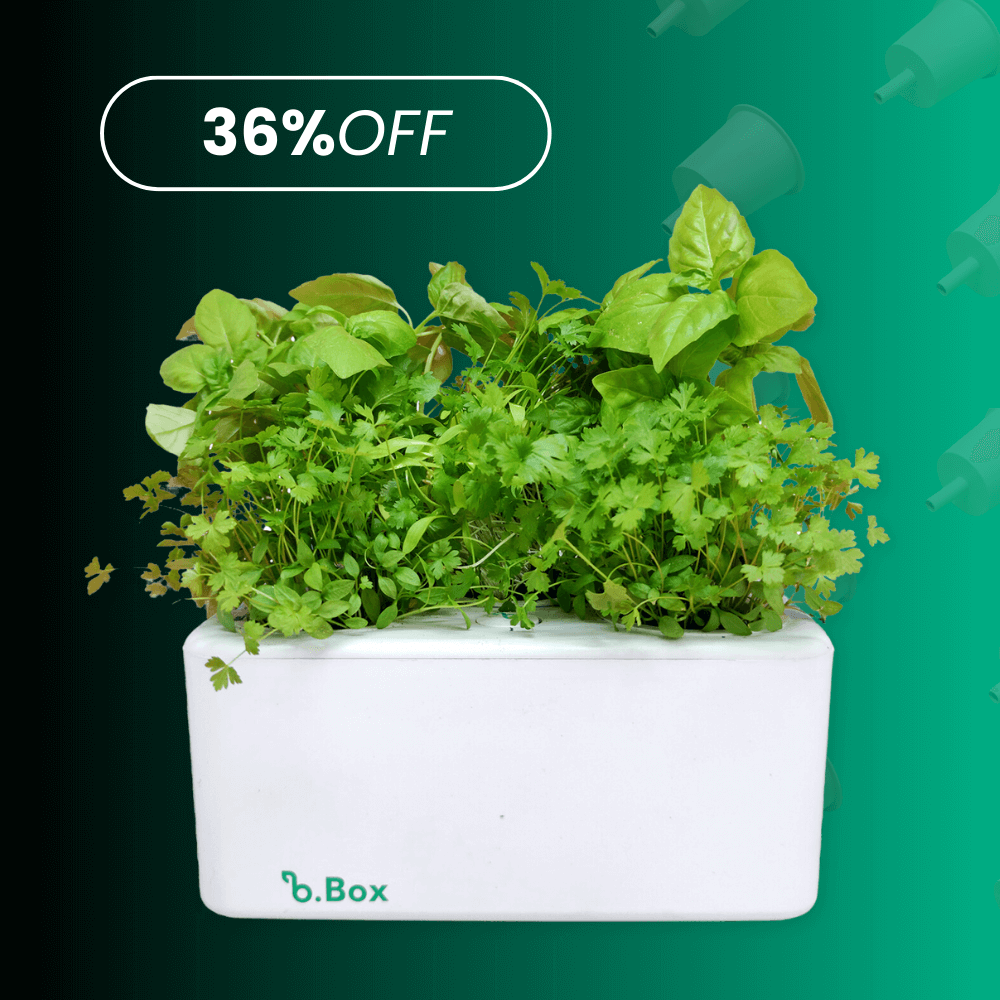 Brota Company - Brota Box Horta Inteligente